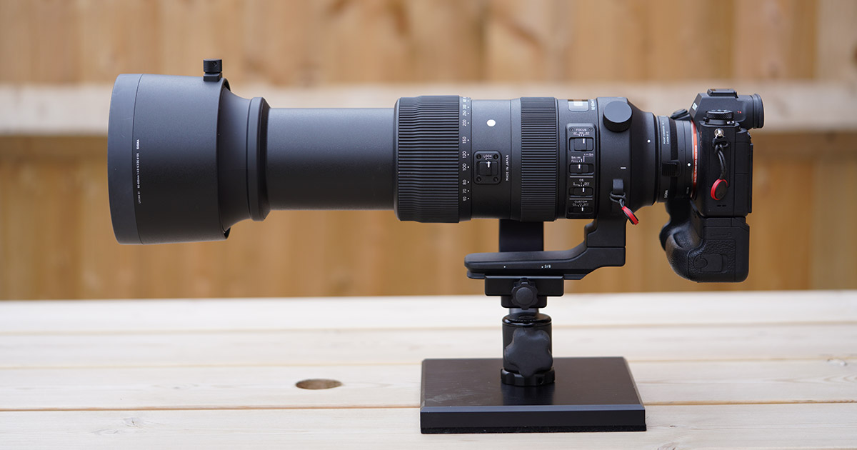 Sigma 60-600mm F4.5-6.3 DG OS HSM Sport Review for Sony E-mount