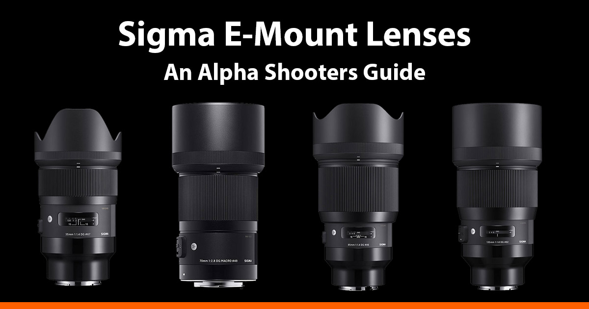 A Guide to Sigma Lenses for Sony E-Mount - AlphaShooters.com