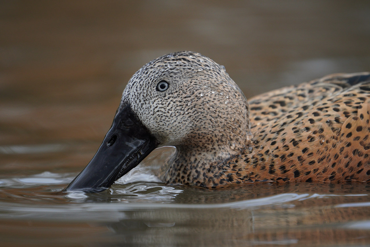 Sony a6400 Sample Image Gallery - AlphaShooters.com