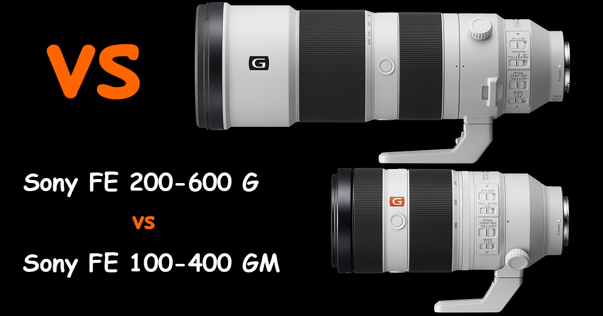Sony 200-600mm vs 100-400 Comparison - AlphaShooters.com