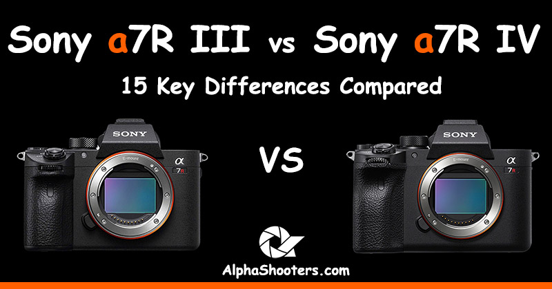 Sony a7R III vs a7R IV - 15 Key Differences Compared - AlphaShooters.com
