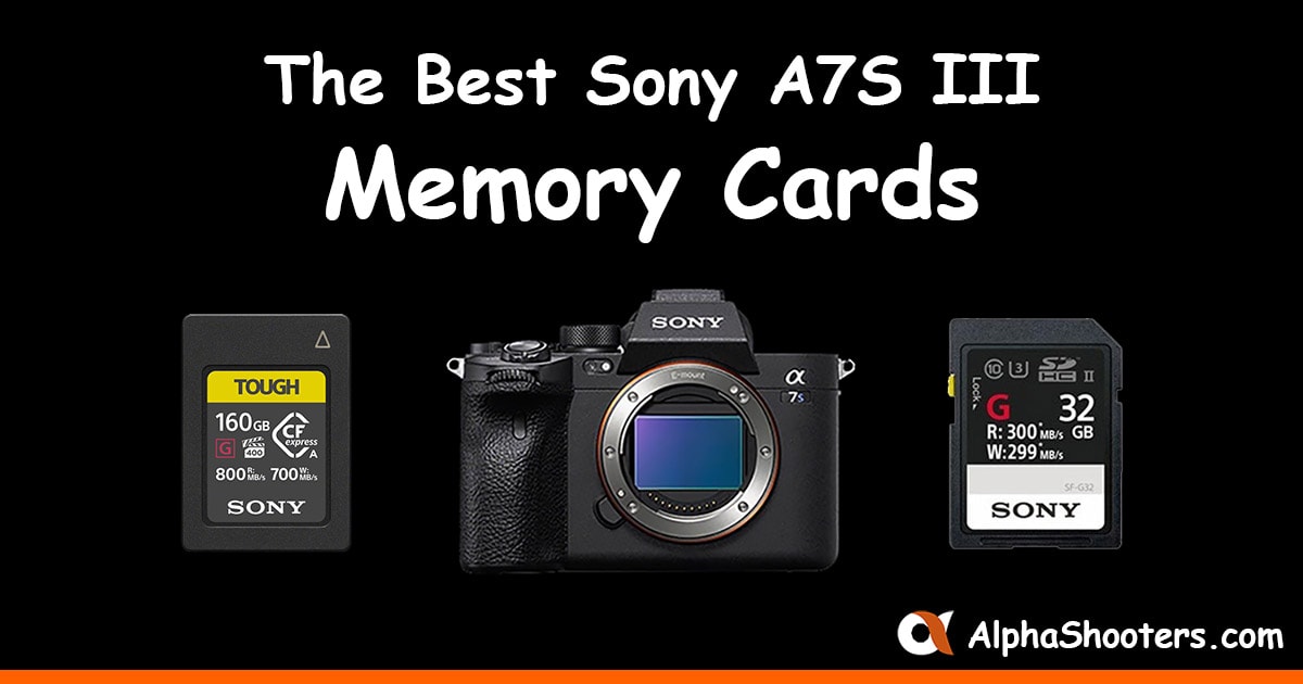 The Best Sony A7S III Memory Cards - AlphaShooters.com