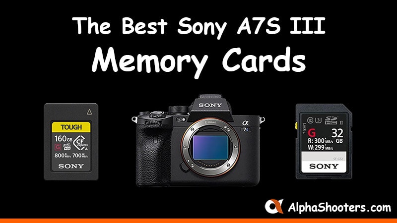 The Best Sony A7S III Memory Cards - AlphaShooters.com