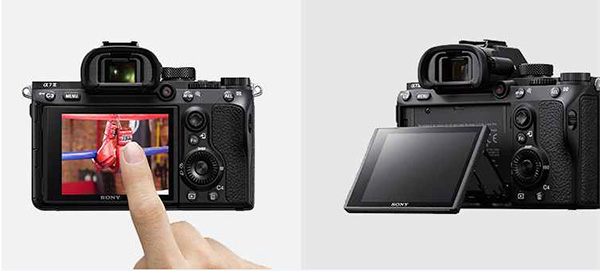 Sony a7II vs a7III - 12 Key Differences Compared - Alpha Shooters